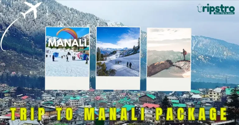 Manali Tour Package Archives - Tripstro